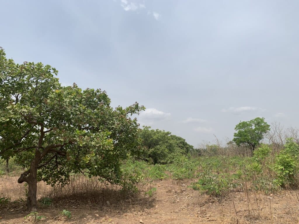 Sokodé, Togo meridiam